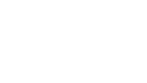 Freelance Software Tester - Testlio