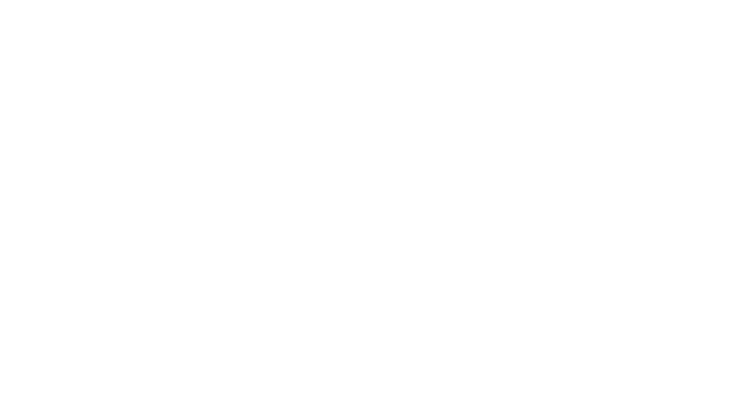 Freelance Software Tester - Testlio