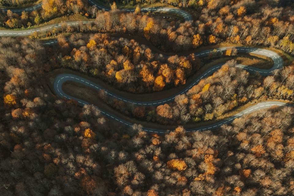 Chatbot Testing 101: How to Validate AI-Powered Conversations - Testlio