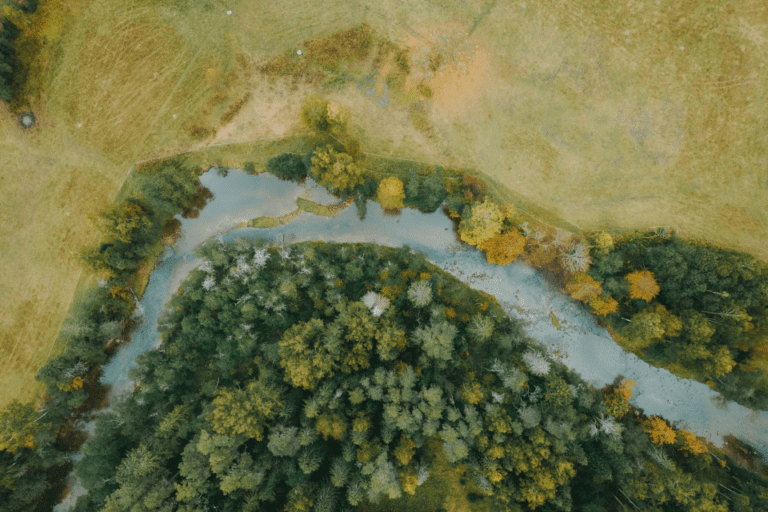 Component Testing: The Ultimate Guide With Examples - Testlio