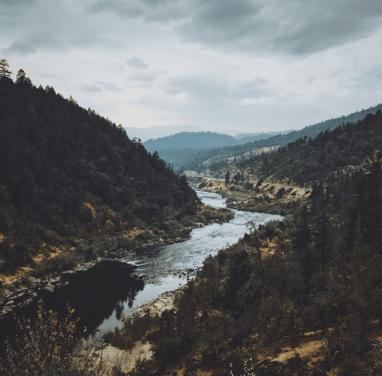 Flaky Tests - The What, Why and How- Testlio