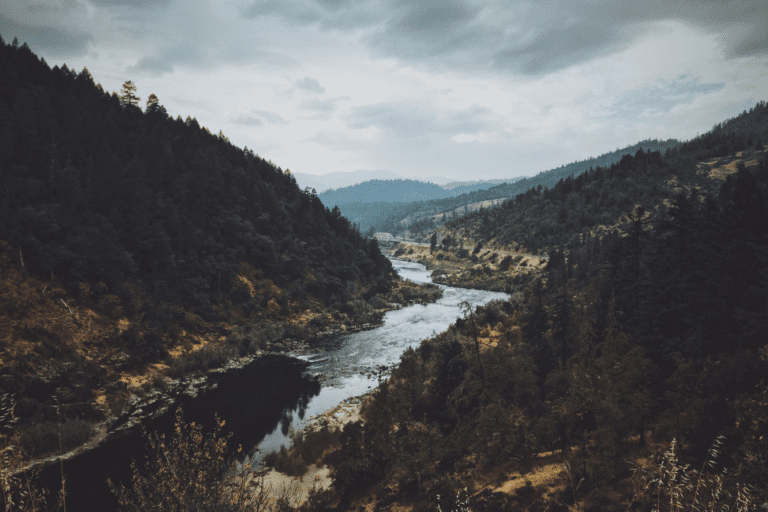 Flaky Tests - The What, Why and How- Testlio