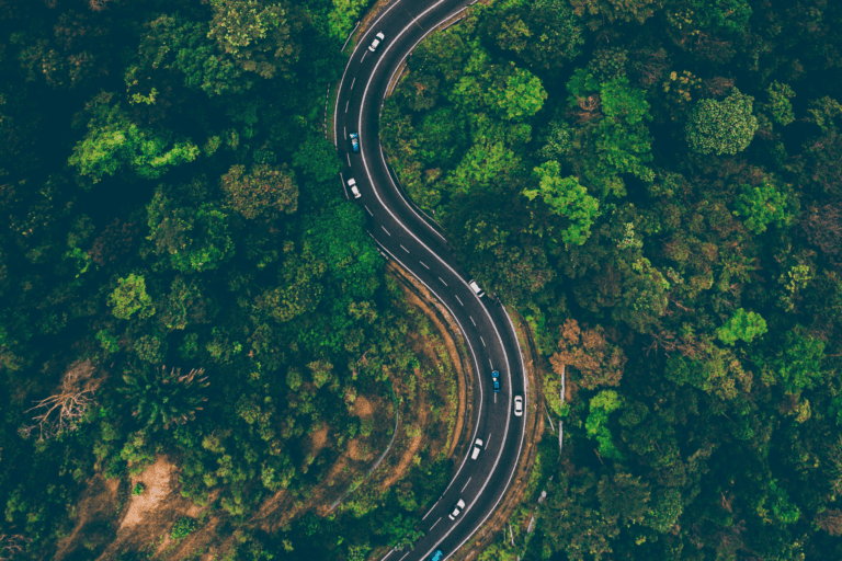 Crowdsourced Testing: The Ultimate Crowdtesting Guide