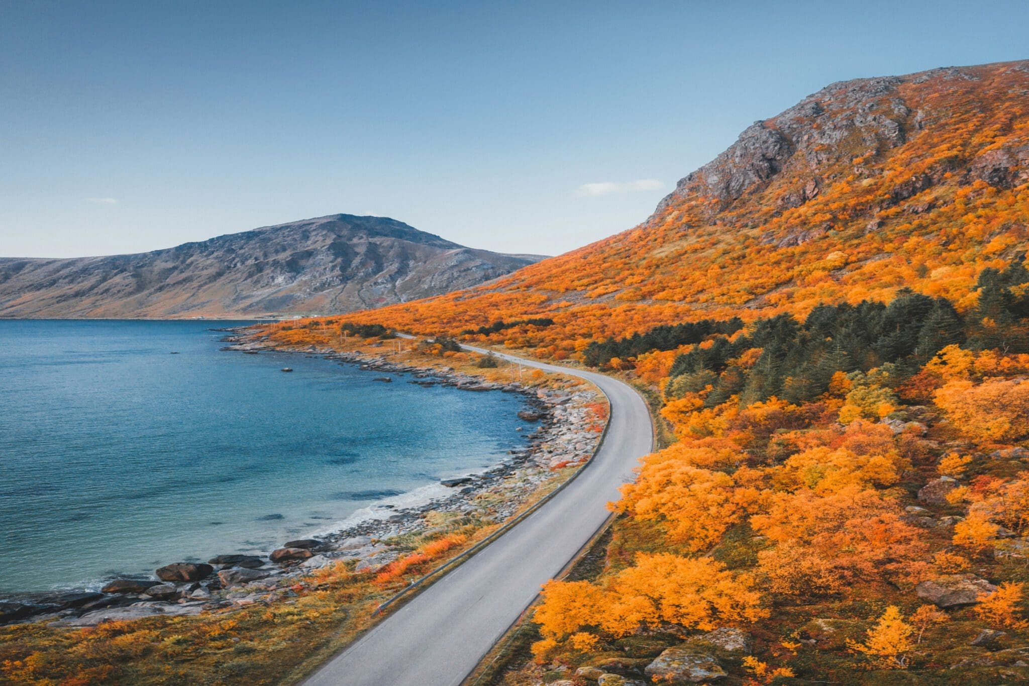 Shift-Left Testing: It's Future in Software Development - Testlio