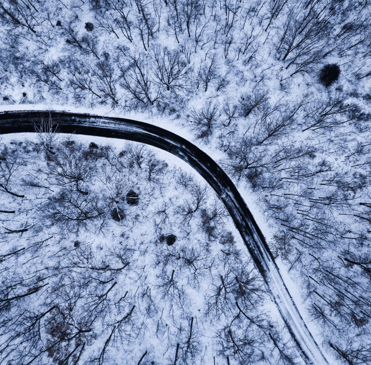 Hyperautomation Vs Intelligent Process Automation Testlio