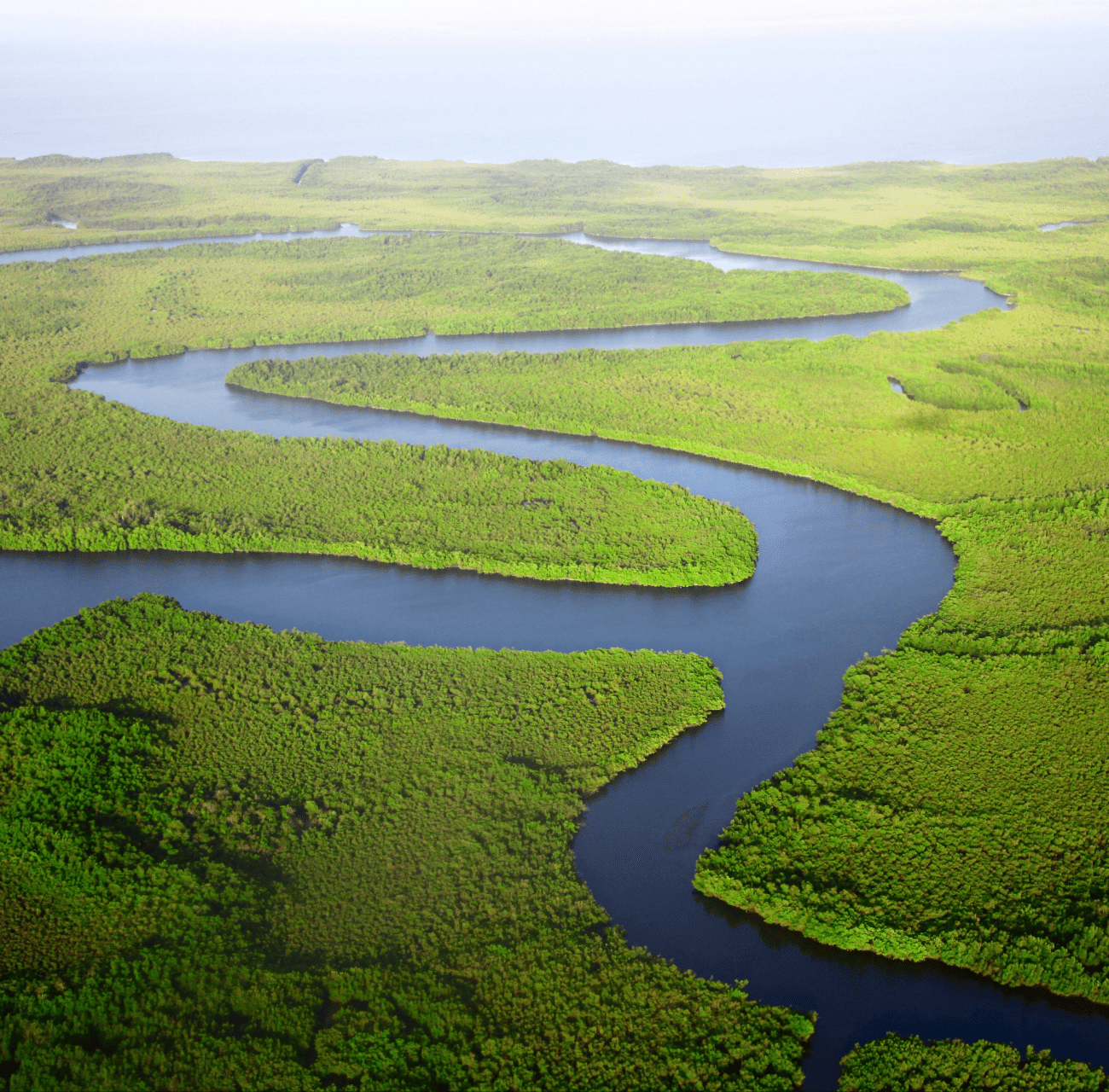 Automated and Manual Testing: Key Differences Explained - Testlio