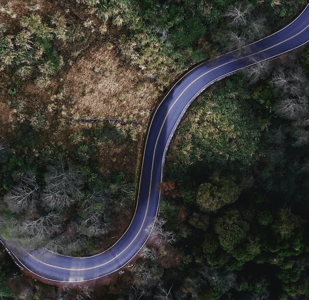 How To Test Your Mobile App The Mobile App Testing Process