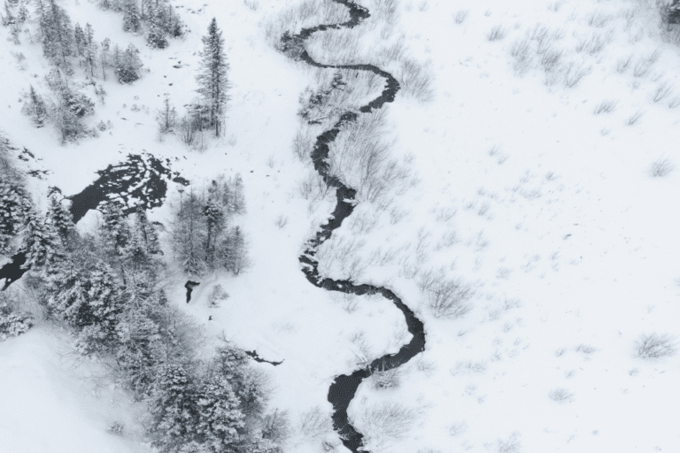 The Ultimate Guide to Negative Testing - Testlio