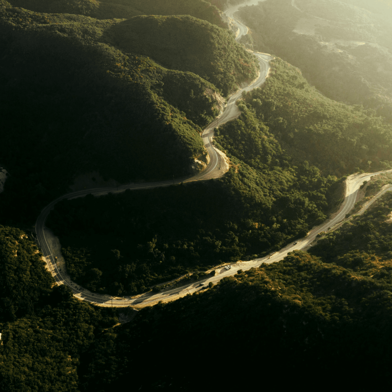 Quality Engineering for CEOs: A Series Introduction - Testlio