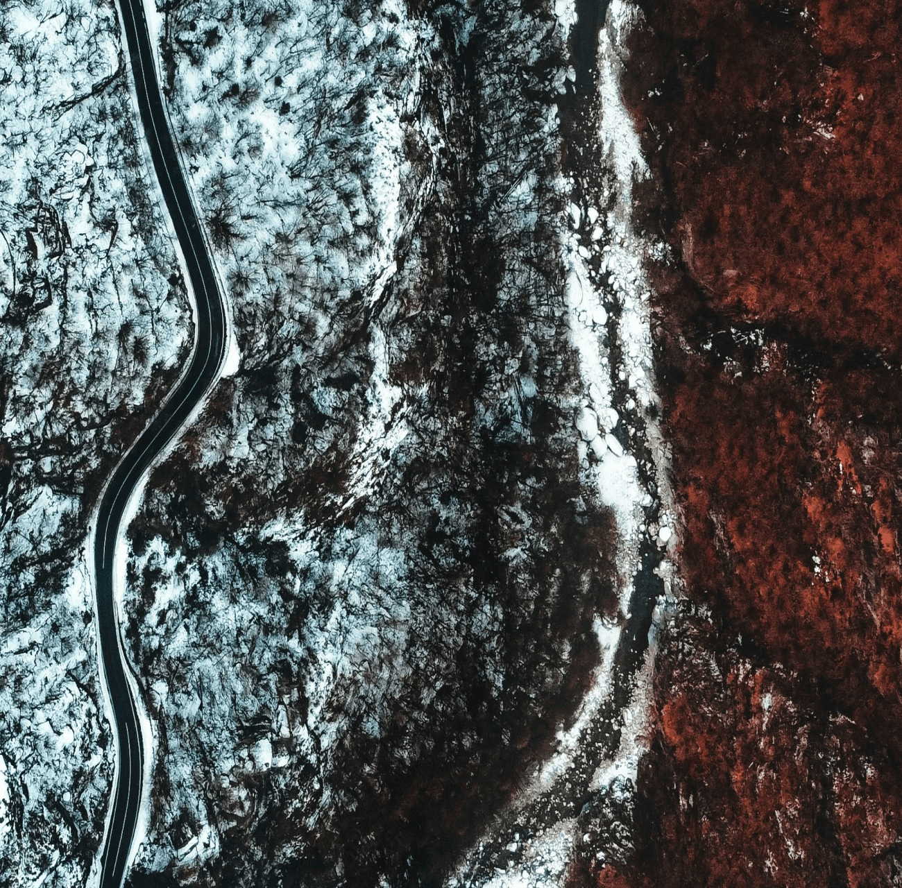 What Are Regression Defects? Importance and Best Practices - Testlio