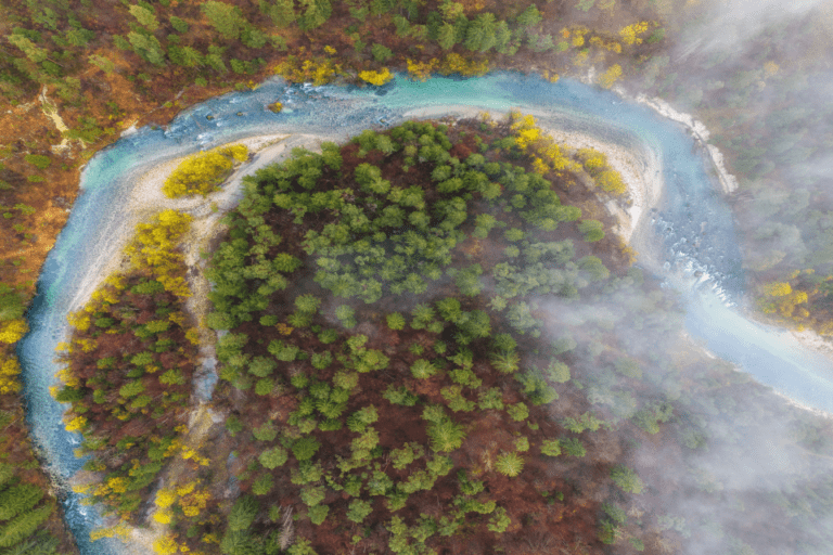 Remote Usability Testing: Breaking the Geographical Constraints - Testlio