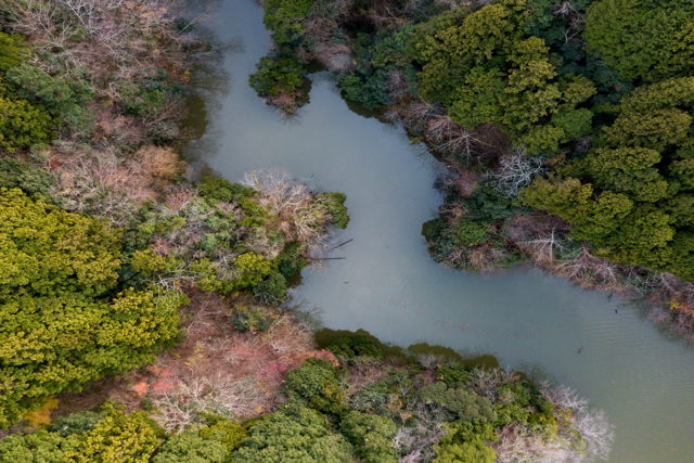 Sandwich Integration Testing: What It Is, Challenges and Examples - Testlio