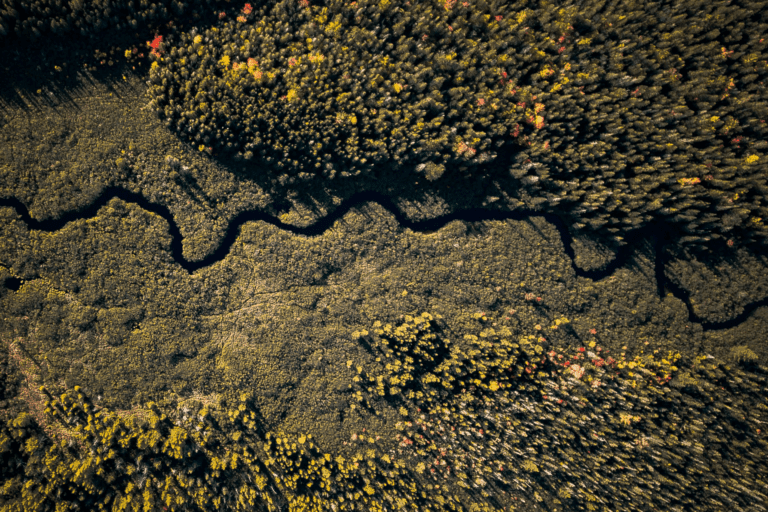 Sanity Testing Vs Regression Testing Differences Explained Testlio