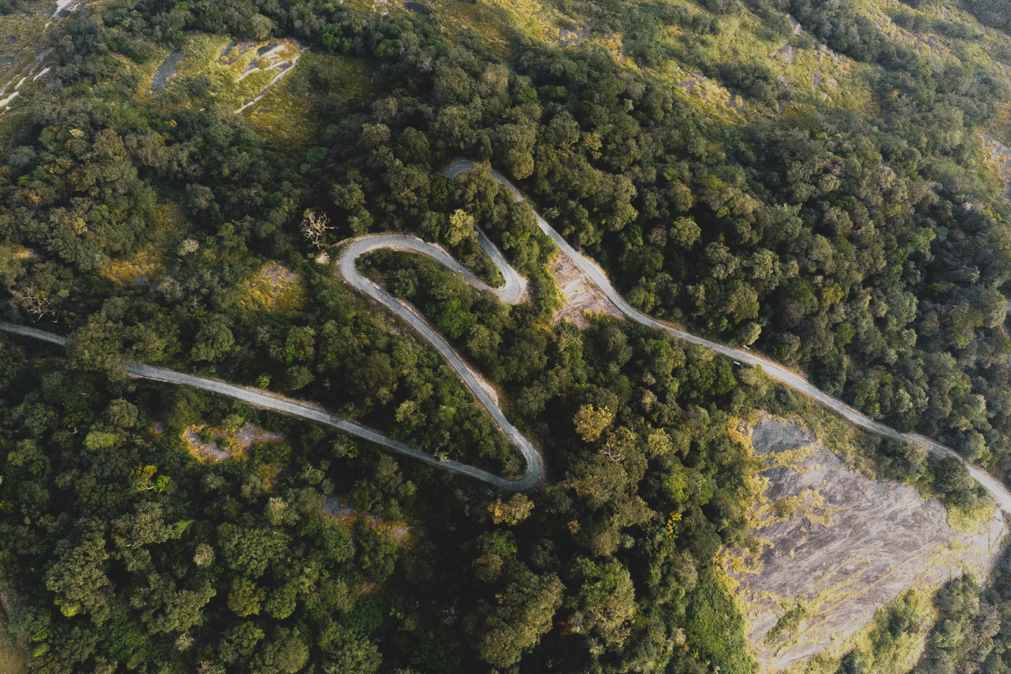 Static Testing: Enhancing Software Quality and Productivity - Testlio