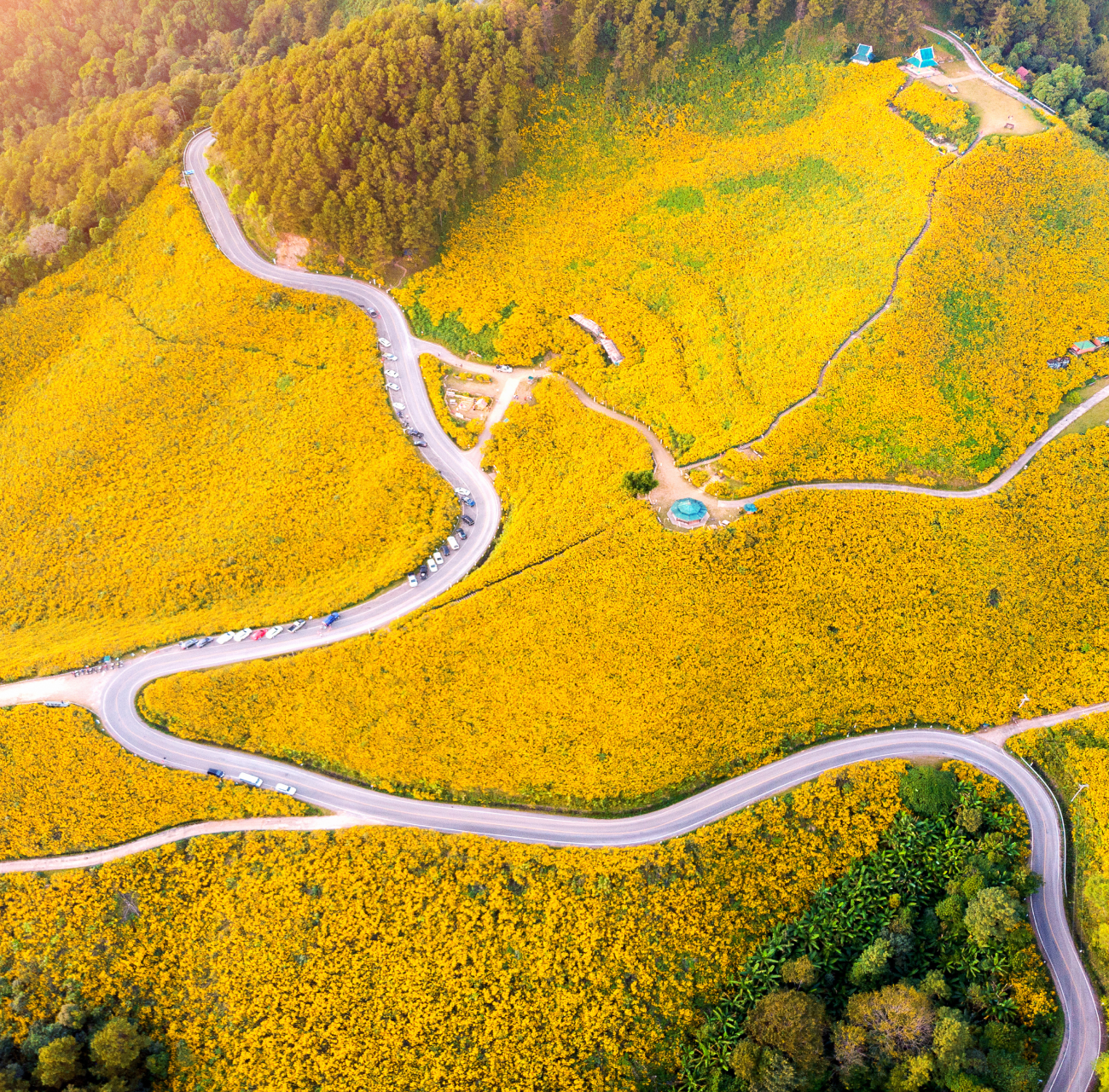 What is Testing in Production? - Testlio