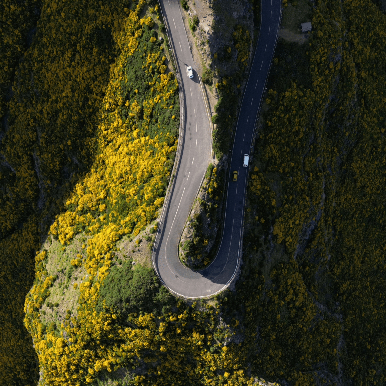 Functional Testing: Fundamentals, Types, Strategy