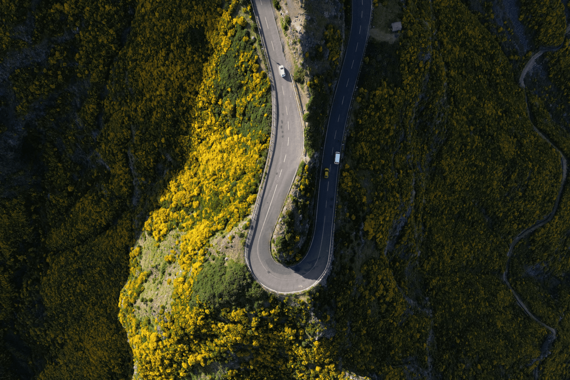 Functional Testing The Ultimate Guide Including Types And Examples 6887