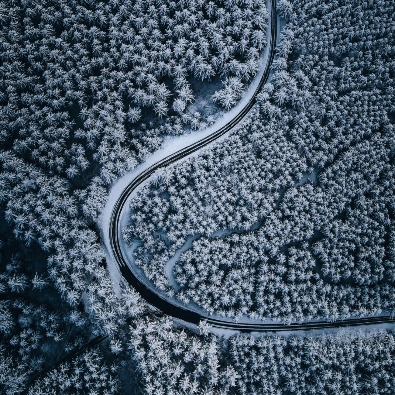 Black Box Vs White Box Vs Gray Box Testing - Testlio